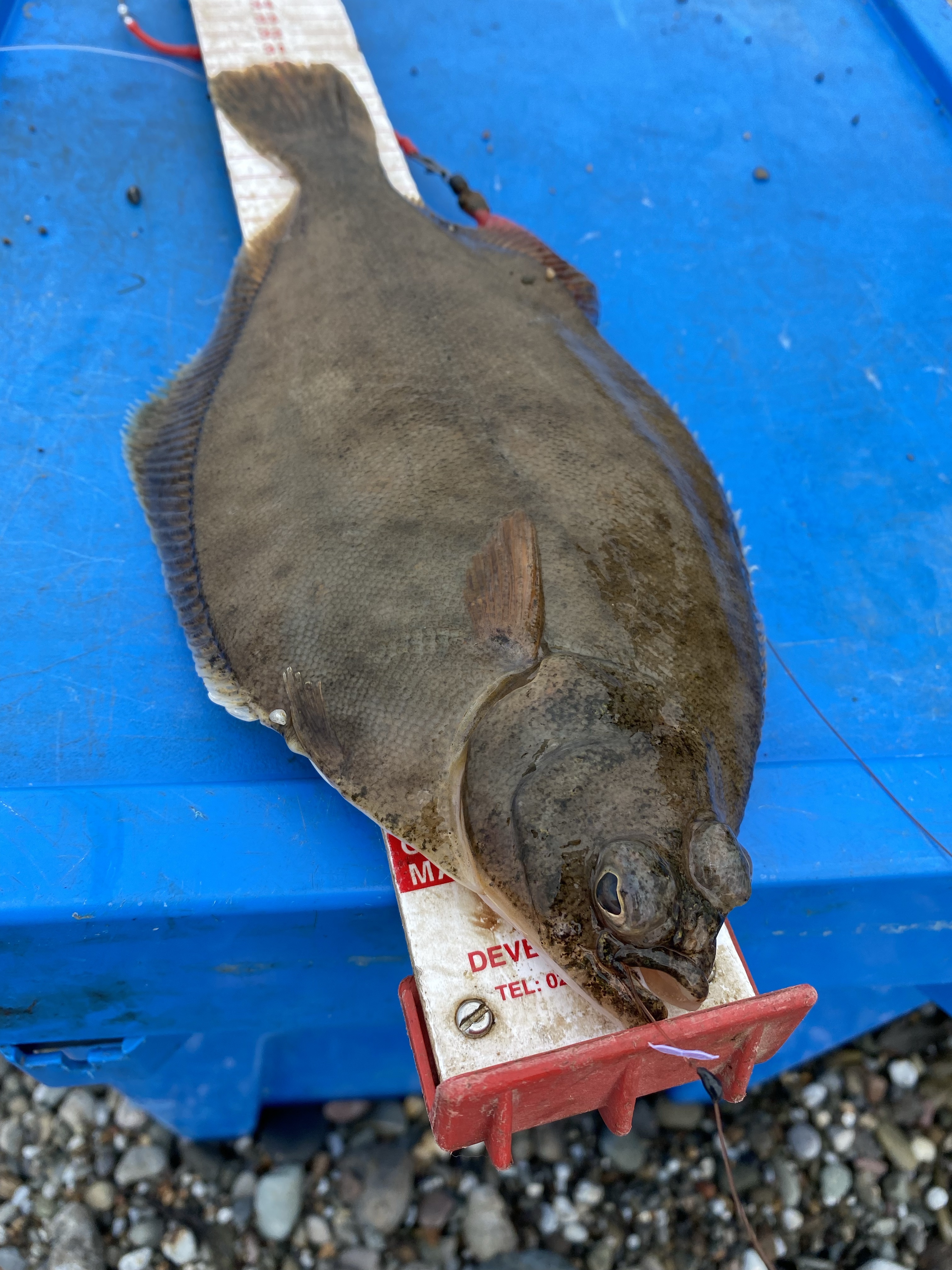 Workington Beach – My Fishing Passion